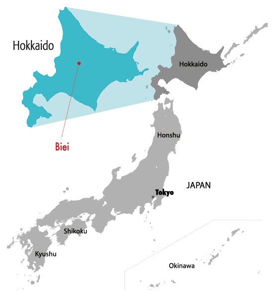 Beautiful Biei | TJJ ONLINE