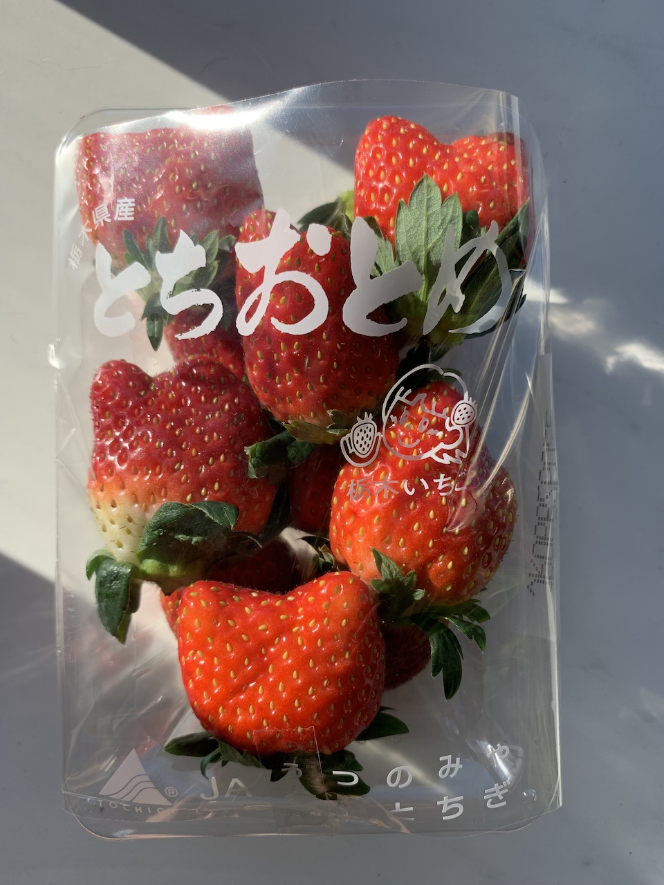 Strawberries in Japan: The Yokohama Connection | TJJ ONLINE