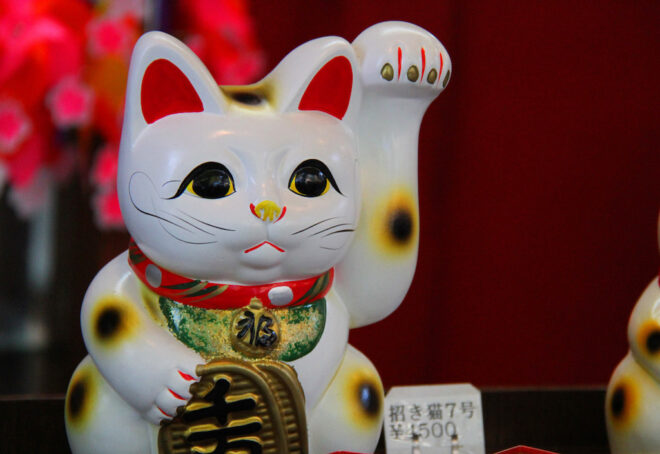 Catty Remarks | TJJ ONLINE