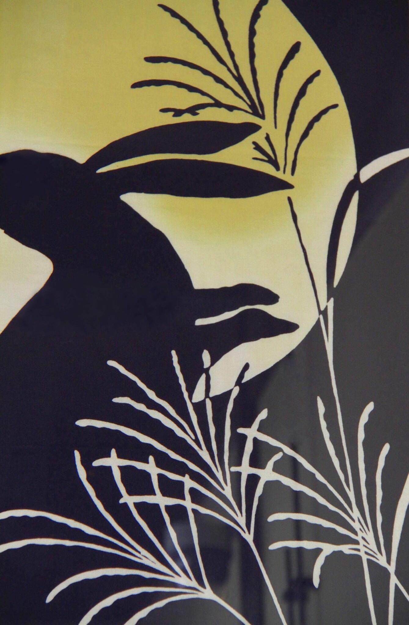 Splitting Hares | TJJ ONLINE