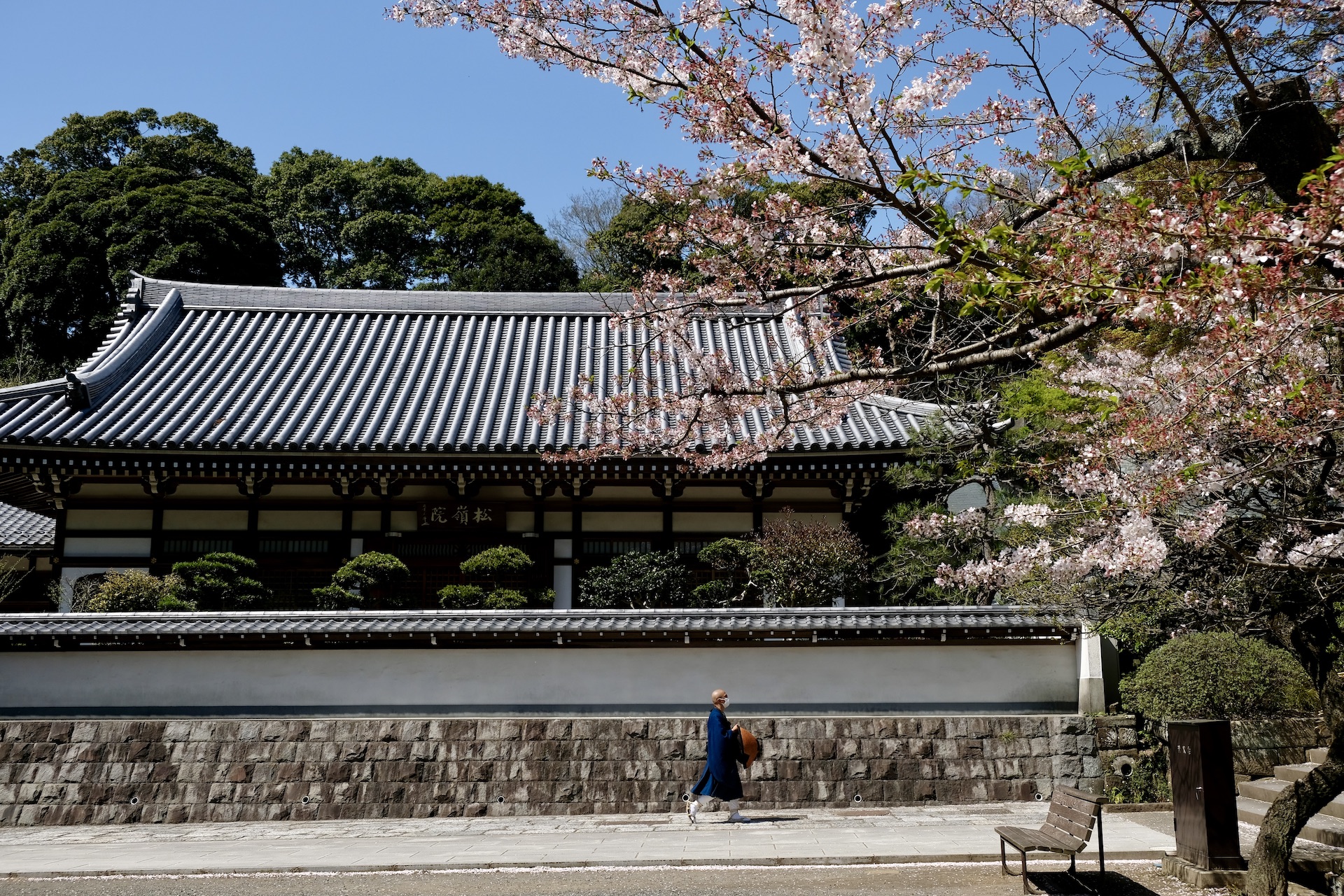 Engaku-ji: Temple of Perfect Enlightenment | TJJ ONLINE