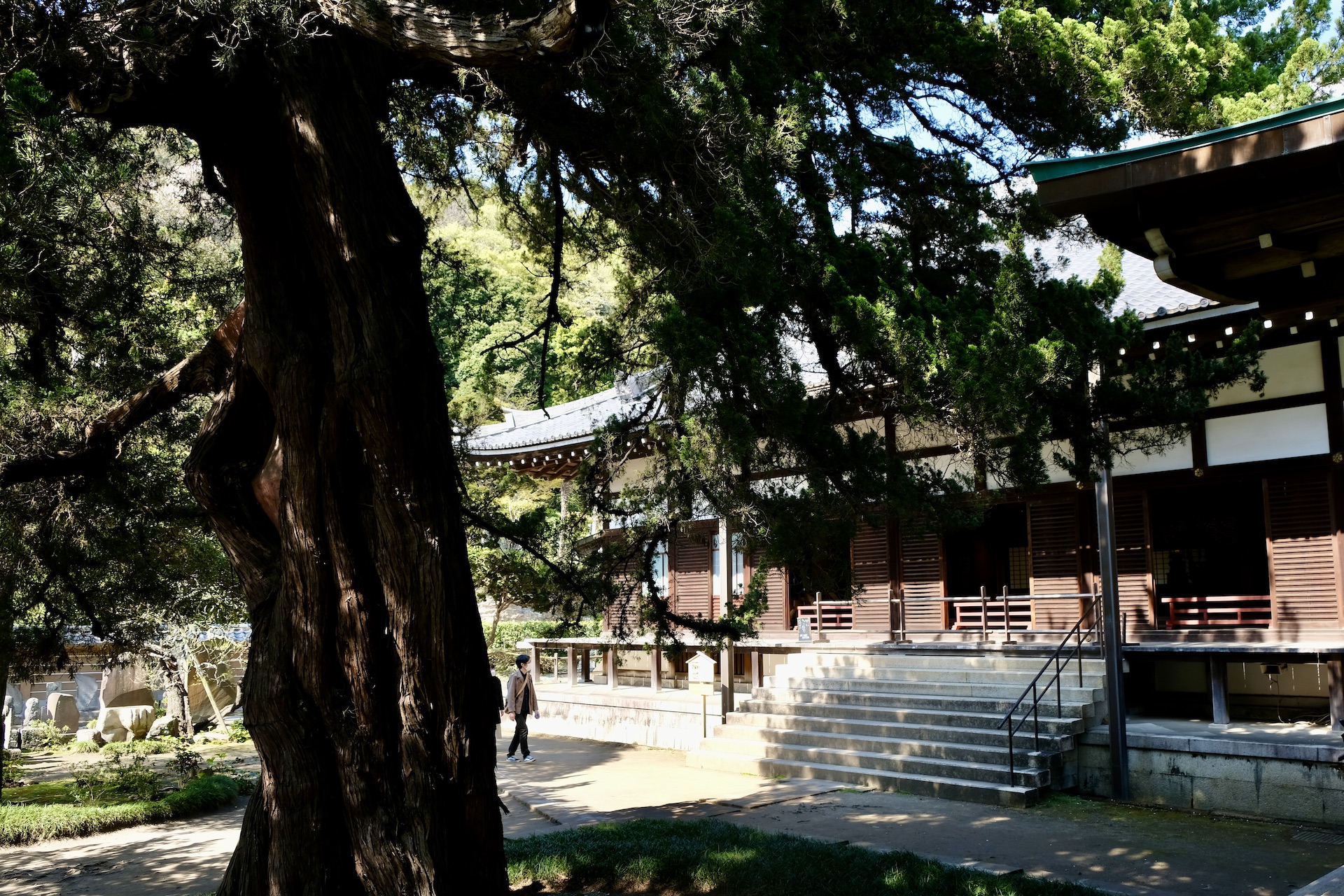 Engaku-ji: Temple of Perfect Enlightenment | TJJ ONLINE